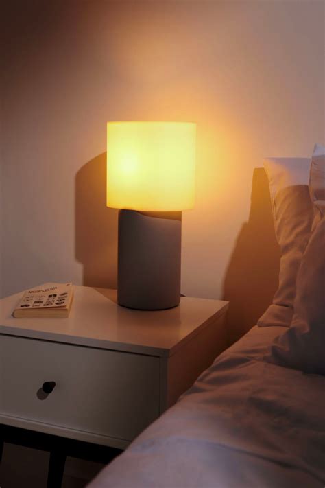 Creating ambient lighting with sustainable led bulbs – Artofit