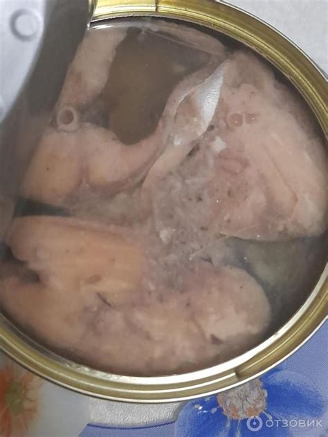 Отзыв о Консервы рыбные 5 морей "Скумбрия атлантическая натуральная" с ...