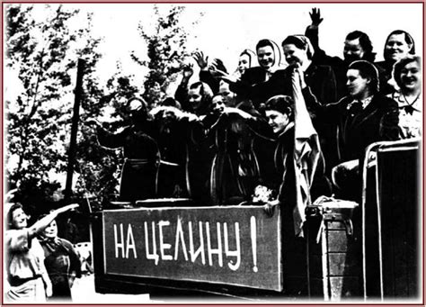 Моя целина