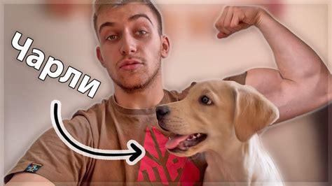 Един ден по време на сесия - YouTube