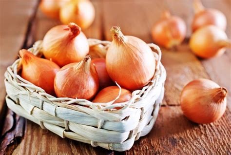 Луковая шелуха лечение болезней, луковая шелуха от болезней | MedAboutMe