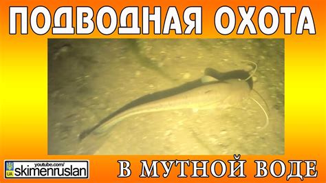 ПОДВОДНАЯ ОХОТА - в мутной воде - YouTube