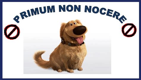Primum Non Nocere