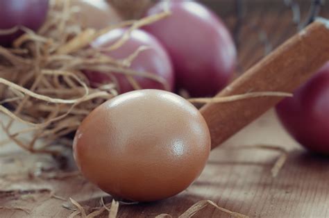 картинки : Пища, производить, цвет, Красочный, Закрыть, Цветной ...