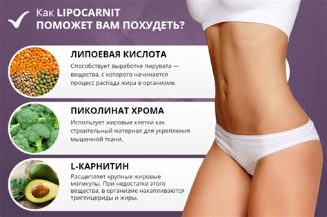 Липокарнит для похудения: отзывы, цена, где купить капсулы