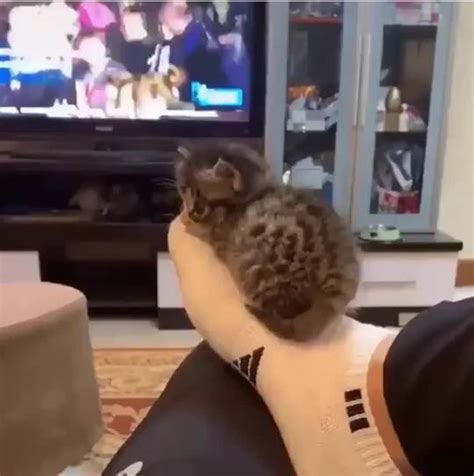 if i fits i sits | Scrolller
