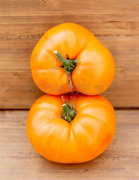 АБРИКОСОВЫЙ БРЕНДИВАЙН (APRICOT BRANDYWINE), США — BTomate