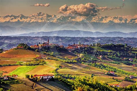 The land of wines - Langhe - Diano d'Alba - UNESCO Site_2