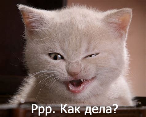 Прикольные картинки с надписями привет как дела скачать бесплатно