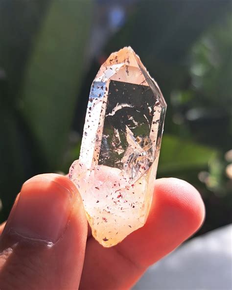 9 Garden Quartz Healing Properties and Benefits (Images)