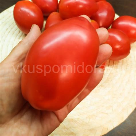 Купить семена томата сорт Настенька