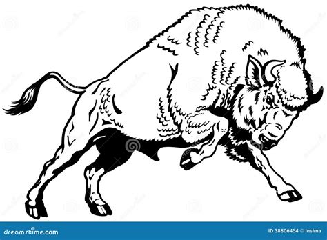 Europees bizon zwart wit vector illustratie. Illustration of continent ...