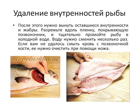 Разделка рыбы - Технология