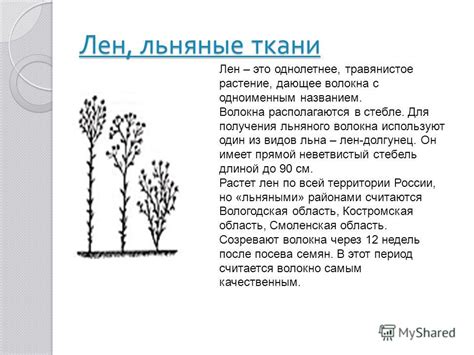 Презентация на тему: "ПРОЦЕСС ПОЛУЧЕНИЯ ТКАНЕЙ Предмет « Технология ...