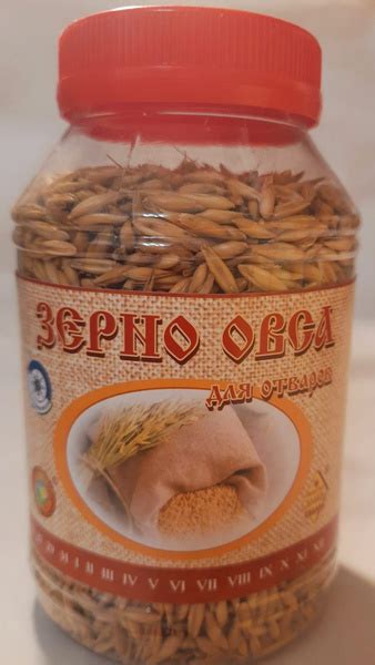 Зерно овса для отваров купить на OZON по низкой цене (1608946401)