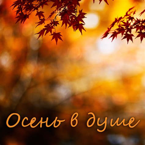 Отпусти - YouTube Music