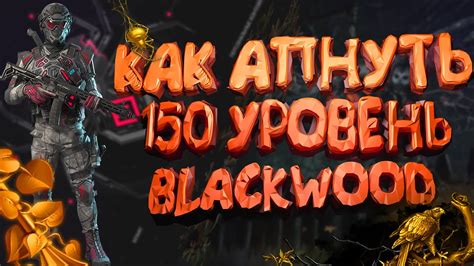 Как апнуть 150 уровень в новом длс Blackwood Блэквуд? - YouTube