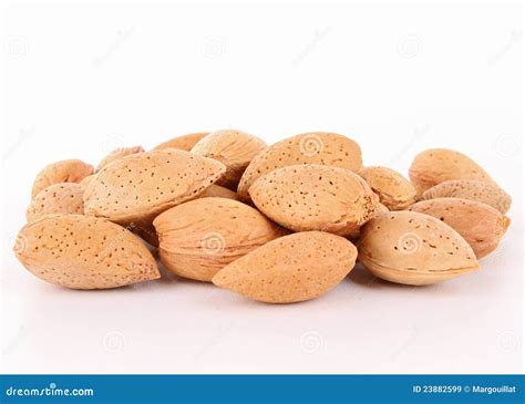 Almond stock image. Image of healthy, diet, almond, nutshell - 23882599