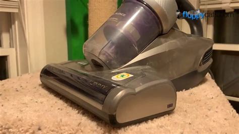 Jimmy JV35 Product Review: A Handheld Vacuum for Pet Hair - Floppycats™