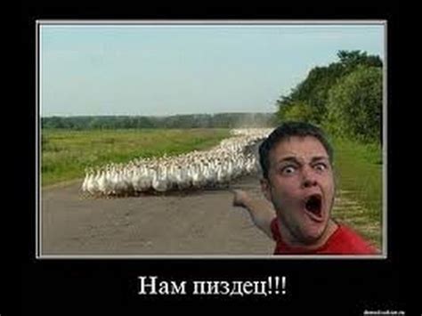 Нам пиздец приколи !!! - YouTube