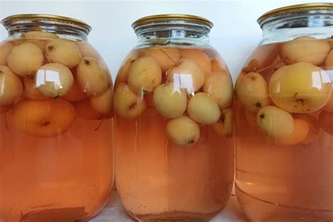 20 отличных рецептов компота из ранеток на зиму