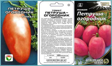 Помидор Петруша огородник - описание сорта с фото, характеристика ...