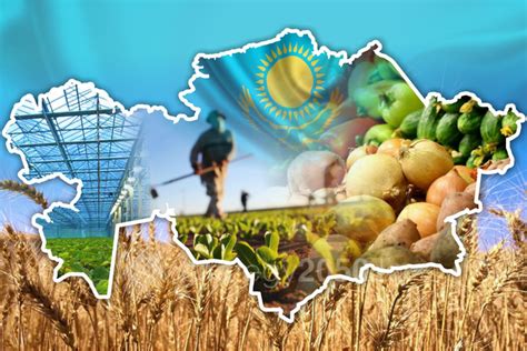 News of Kazakhstan Agricultural Sector | Nieuwsbericht | Agroberichten ...