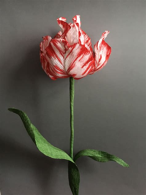 My Crafting Site: Semper Augustus Tulip Painting