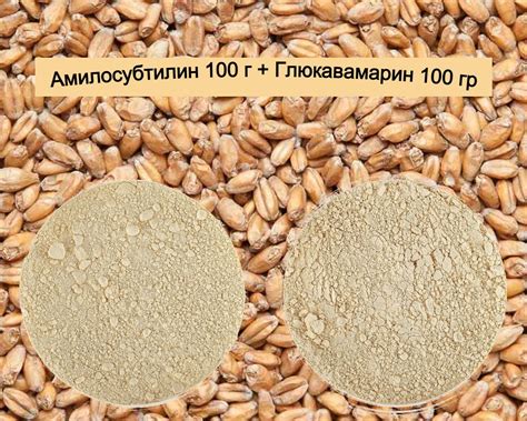 Ферменты для зерновой браги Амилосубтилин 100 г + Глюкаваморин 100 г ...
