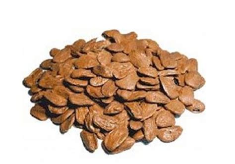 The Incredible Benefits of Akuamma Extract and How to Use It | East ...