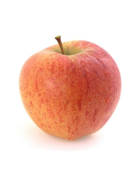 Яблоки Чемпион купить в Fruitonlie
