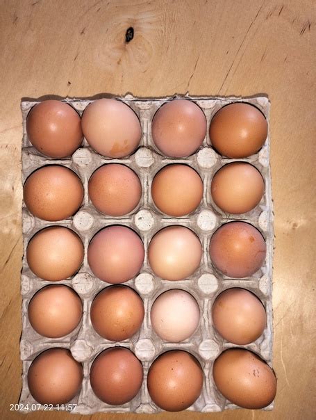 Продам яйца деревенские, 110 руб за десяток | Ярмарка | Салават | ВКонтакте