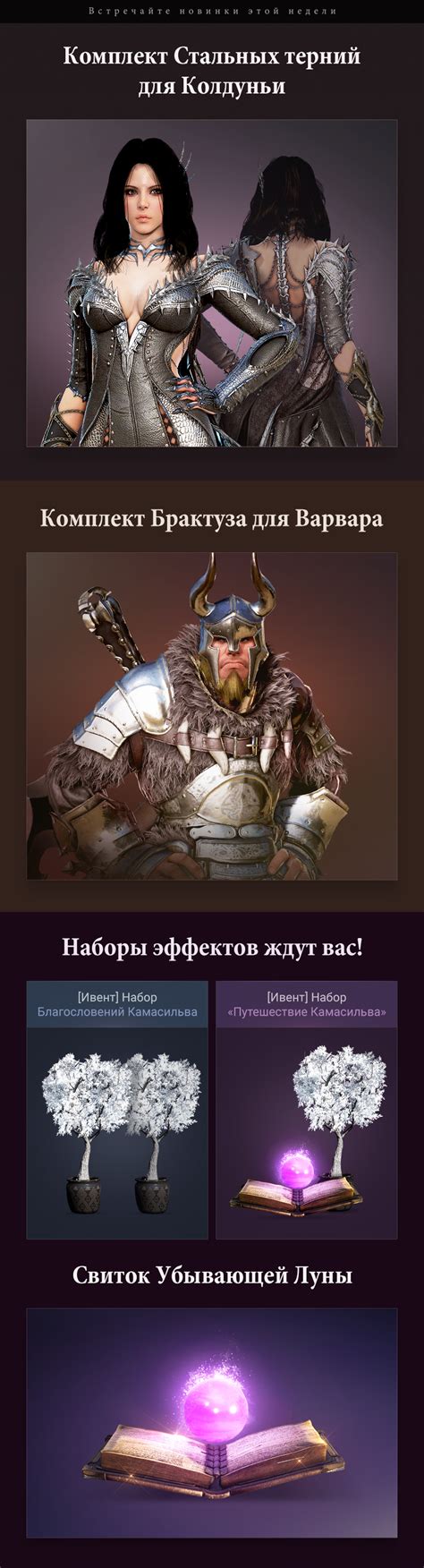 [Премиум-магазин] Новинки от 8 января | Black Desert Русскоязычный регион