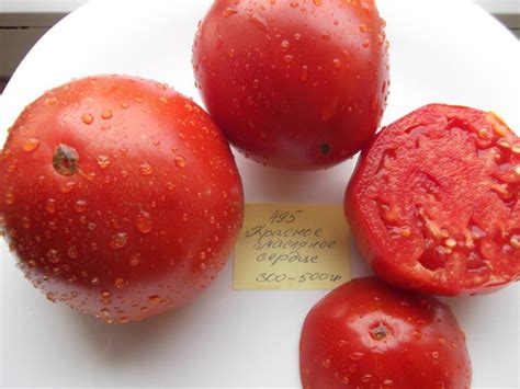 495 - Red Butter Heart \ Красное масляное сердце | Tomatoeden
