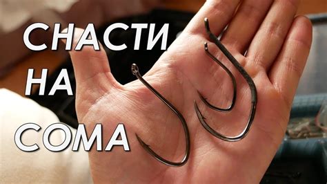Снасти для трофейного сома на донку с берега - YouTube