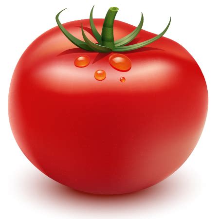 10 Excellent Adobe Illustrator Food Tutorials