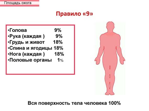 Травматический шок. Термическая травма - online presentation