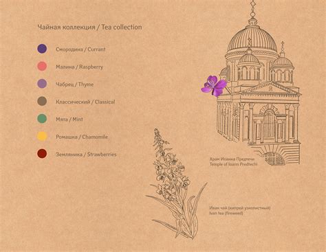 Упаковка для чайной коллекции / tea packaging :: Behance
