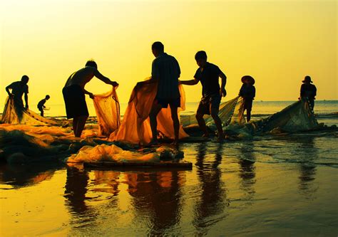 Fisherman Free Stock Photo - Public Domain Pictures