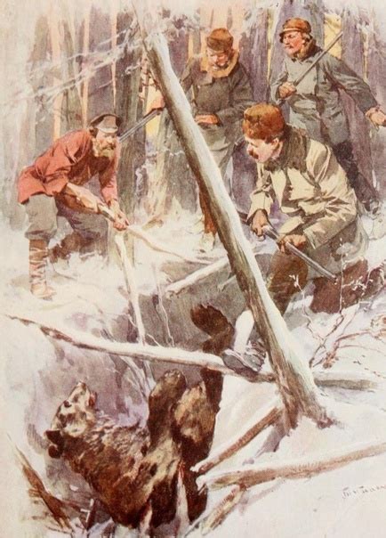 Медвежий капкан в России Автор рисунка — Фредерик де Ханен, около 1913 ...
