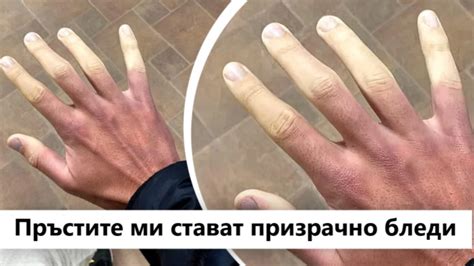 Любопитно – Ponichka.com