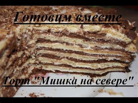 Торт "Мишка на севере" - YouTube
