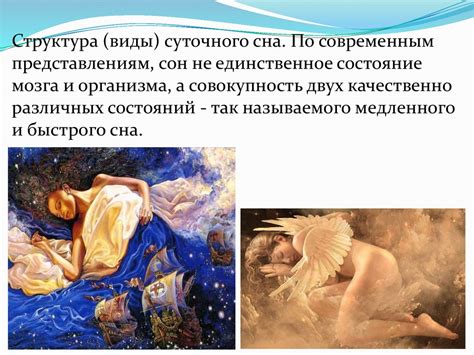 Физиология и стадии сна - презентация онлайн