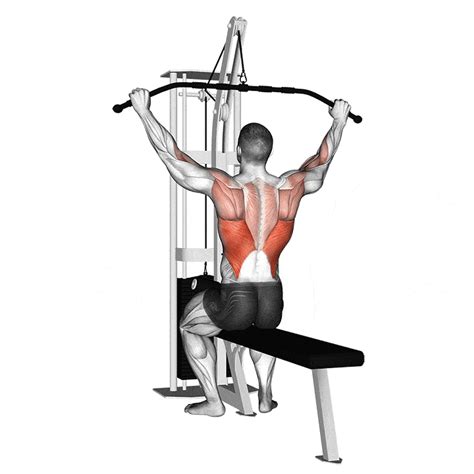 Pull down Nasıl yapılır? Faydaları Nelerdir | Sporium.Net