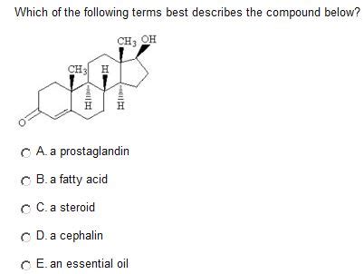Solved Which of the following terms best describes the | Chegg.com
