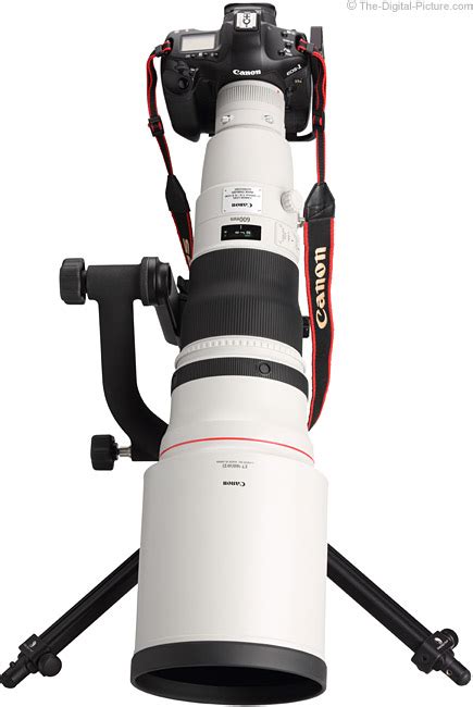 Canon EF 600mm f/4L IS II USM Lens Review