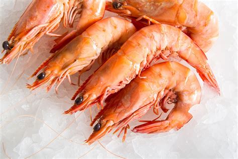 МОРЕПРОДУТЫ23 | Доставка свежих морепродуктов по Краснодару и краю