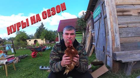 СЕЗОННОЕ СОДЕРЖАНИЕ КУР НЕСУШЕК. ОЧЕНЬ ПОДРОБНО. - YouTube