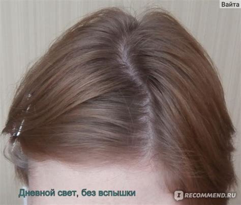 Краска для волос Schwarzkopf Perfect Mousse - «Полное разочарование 750 ...