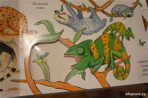 Книга: Вот так морды! - Флит Ван. Купить книгу, читать рецензии | Лабиринт
